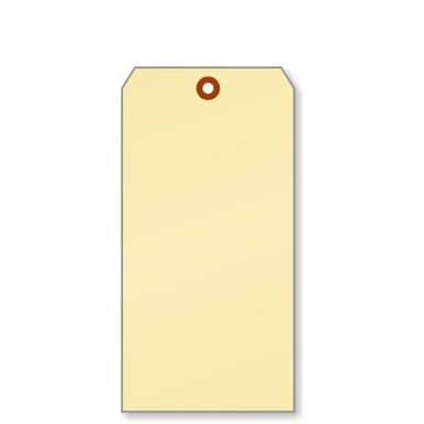 SmartSign Pack of 100 Extra Large Blank Shipping Tags | 4" x 8" Manila ...