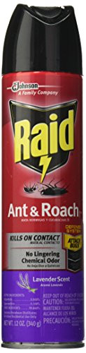 Raid Ant & Roach Killer, Lavender Scent, 12 OZ (Pack - 1 ...