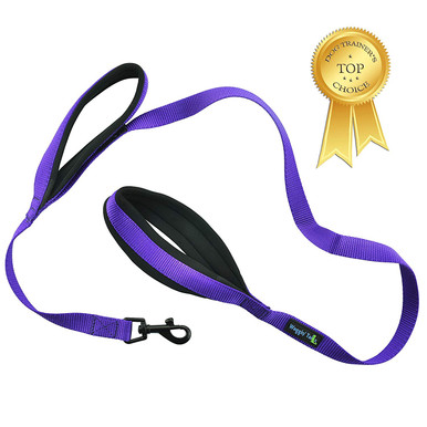 Soft and Thick Double Handle Premium Nylon 4FT x 3/4Inch Leash - Dual ...