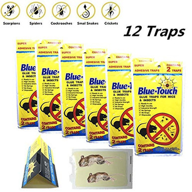 12 Traps (6 Pack) Blue Touch Sticky Mouse Traps, Mouse Glue Board ...