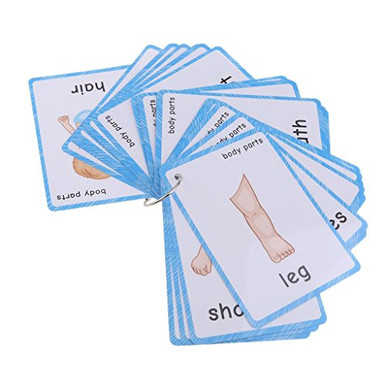 SANTSUN 37 Pieces Body Parts Kids Laminated Flash Cards - Educational ...