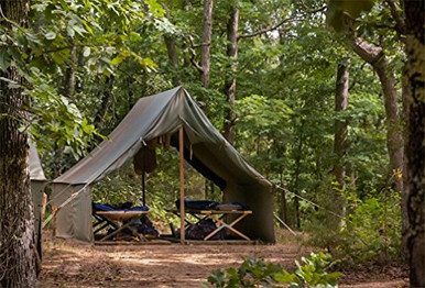 AOFOTO 8x6ft Scouts Forest Camping Backdrop Summer Camp Canvas Tent ...