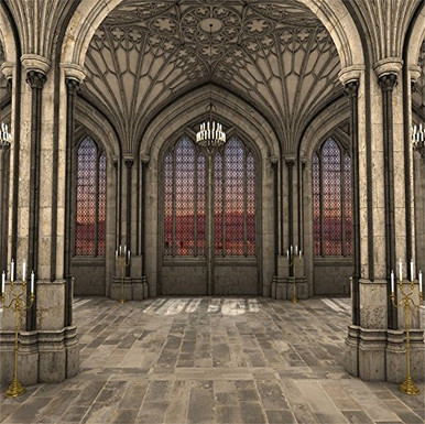 LFEEY 10x10ft Gothic Cathedral Interior 3D Backdrop for Photography ...