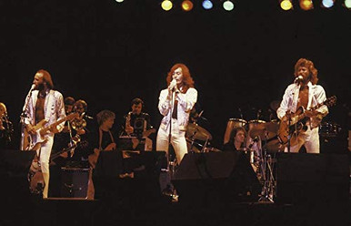 the Bee Gees on stage Photo Print (10 x 8) - Warehousesoverstock