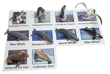 Montessori Antarctic Polar Animal Match - Miniature Arctic Animal Toy ...