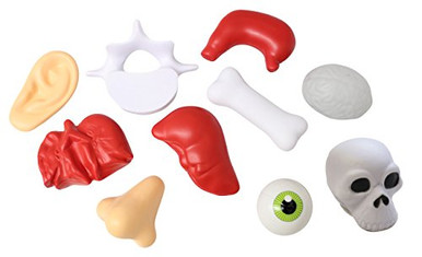 Curious Minds Busy Bags Body Parts Stress Ball Bundle - Office, Doctor ...