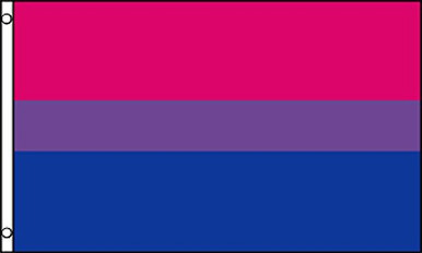 Bi Pride Flag 3x5ft Poly - Warehousesoverstock