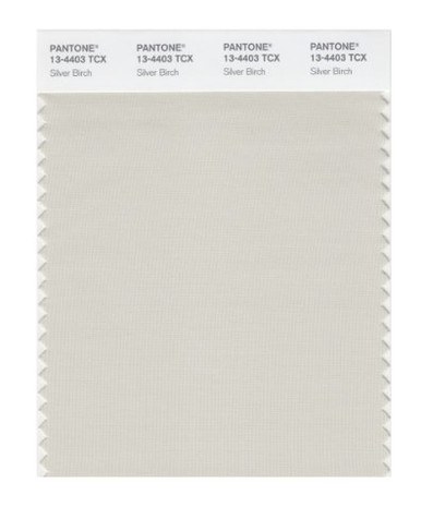 PANTONE Smart 13-4403X Color Swatch Card, Silver Birch ...