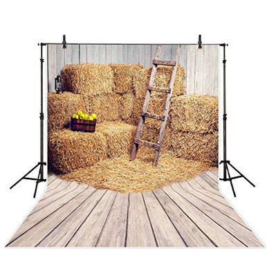 Allenjoy 5x7ft Farm Photography Backdrop Background Old Fall Barn ...