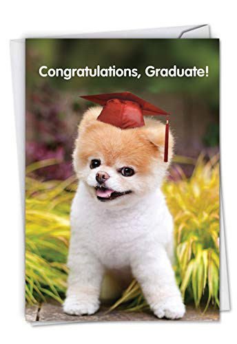 Boo-tiful Future - Funny Graduation Card with Envelope - Starring Boo ...
