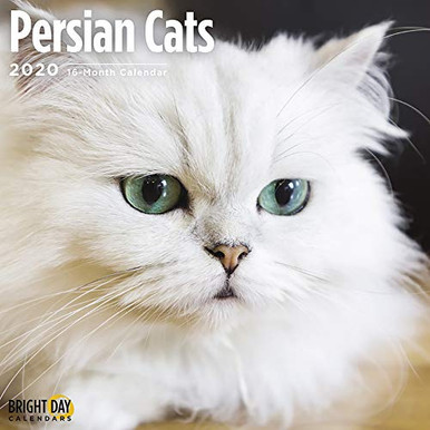 2020 Persian Cats Wall Calendars by Bright Day Calendars 16 Month Wall ...