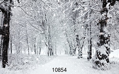 SJOLOON 7x5ft Winter Background for Photography White Frozen Snow ...