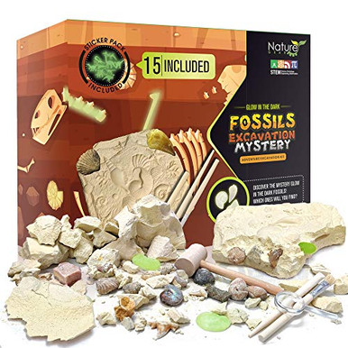 Nature Gear Glow in The Dark - 15 Mystery Fossils Excavation Adventure ...