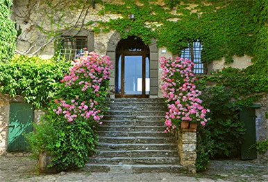 Laeacco 10x8ft Green Vine Covered House Backdrops Front Door Spring ...