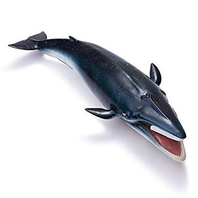 RECUR Fin Whale Toys Realistic Plastic Finback Whale Figure Model 10 ...