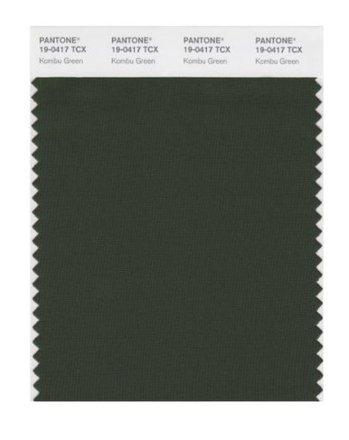 PANTONE Smart 190417X Color Swatch Card Kombu Green - Warehousesoverstock