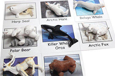 Montessori Arctic Polar Animal Match Miniature Arctic Animal Toy ...