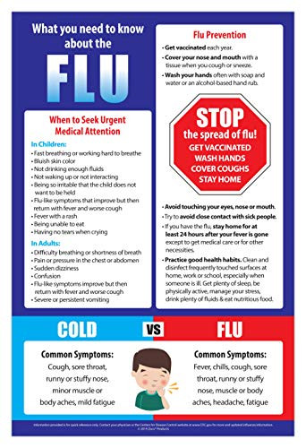 Flu Poster What You Need to Know About The Flu Poster Flu vs Cold ...