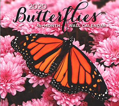2020 Butterflies FullSize Wall Calendar 16Month - Warehousesoverstock