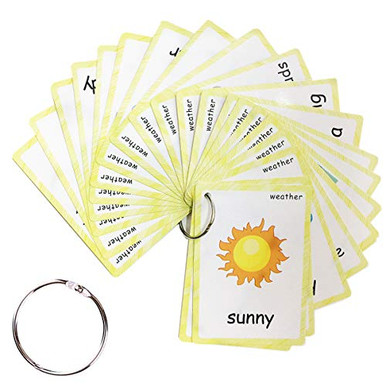 SANTSUN 24 Pcs Weather Flash Cards Set Classroom Decorations ...