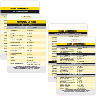 Lab Values Vertical Plastic Badge Cards Set of 2 Cards Used as Clinical ...