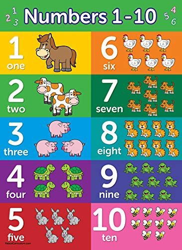 Numbers 110 Poster Chart Laminated 18 x 24 Double Sided Poster ...