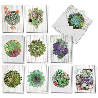 The Best Card Company 20 Assorted Blank Plant Cards Boxed 4 x 512 Inch ...