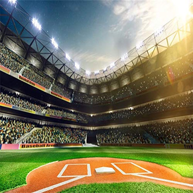 Leowefowa 6x6FT Baseball Field Backdrop Interior Stadium Backdrops for ...