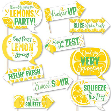 Big Dot of Happiness Funny So Fresh Lemon Citrus Lemonade Party Photo ...