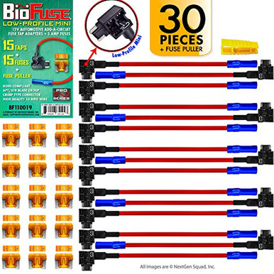 BioFuse Low Profile Mini 30 Piece Automotive Fuses and Holders Pack: 15 ...