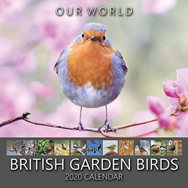 Our World British Garden Birds 2020 Bird Wall Calendar Backyard Bird ...