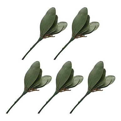 5 Pcs Artificial Orchid Leaves Green Phalaenopsis Orchid Leaves Real ...
