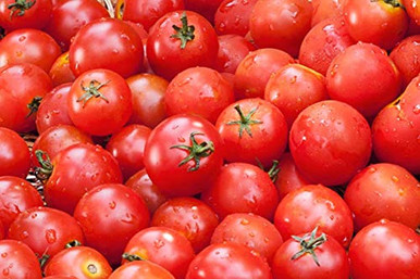 Heirloom Red Robin Dwarf Tomato 180 Tomato Seeds by Jays Seeds UPC ...