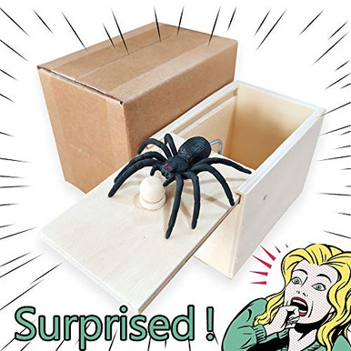 CCMIOCO Fun Happy Joke Boxes Rubber Spider Prank Happy Box?Handcrafted ...