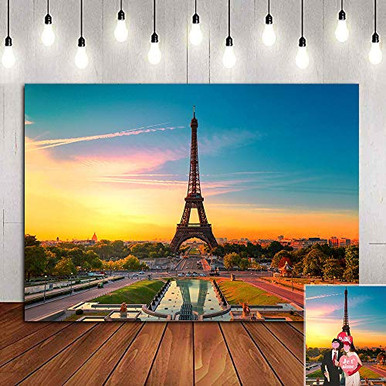 Paris Themed Event Photography Backdrop Wedding Bridal Shower Photo ...