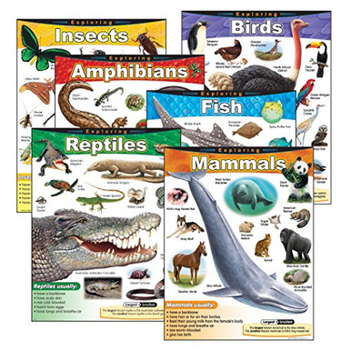 TREND enterprises Inc T 38935 Exploring Series Learning Charts Combo ...
