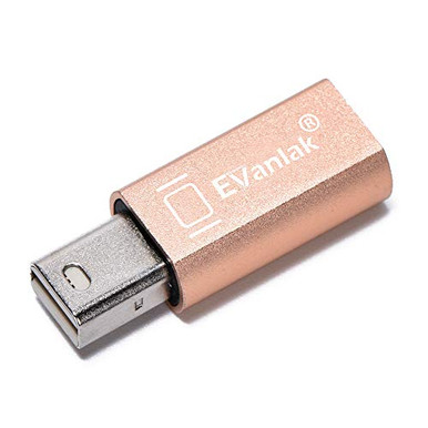 EVanlak Mini DisplayPort Headless Ghost Display Emulator for PC 4K DP ...