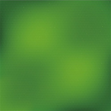 LFEEY 6x6ft Green Screen Backdrop Adults Girls Boys Portrait ...
