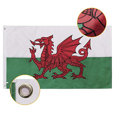 FLAGBURG Wales Flag 3x5 FT The Red Dragon Flag with Embroidery Pattern ...