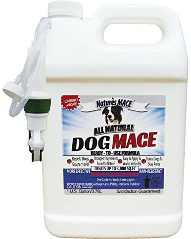 Dog MACE Dog Repellent 1 Gallon Ready-to-Use Spray - Warehousesoverstock