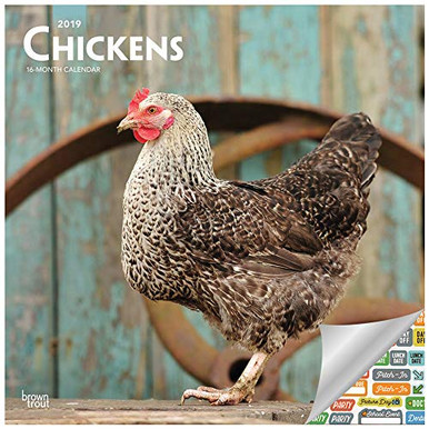 Chickens Calendar 2019 Set - Deluxe 2019 Chickens Wall Calendar with ...