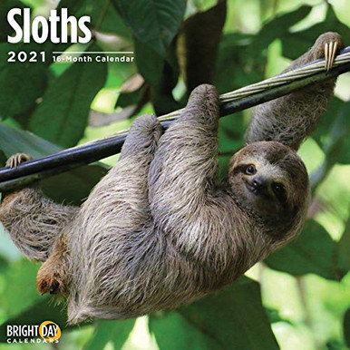 2021 Sloths Wall Calendar by Bright Day 12 x 12 Inch Cute Wild Animal ...