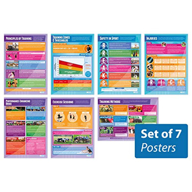 Physical Training Posters - Set of 7 PE Posters Gloss Paper Measuring ...