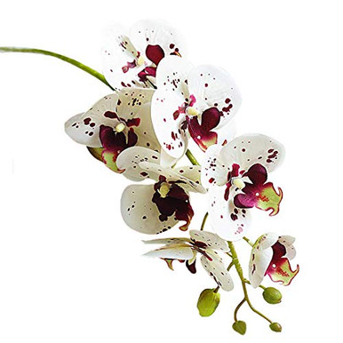 Calcifer 10 Pcs Artificial Real Touch Latex Phalaenopsis Orchid Stem ...