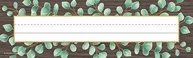 Teacher Created Resources Eucalyptus Flat Name Plates TCR8691 ...