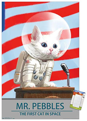 Trends International Poster Mount Fallout 4 - Mr Pebbles - The First ...