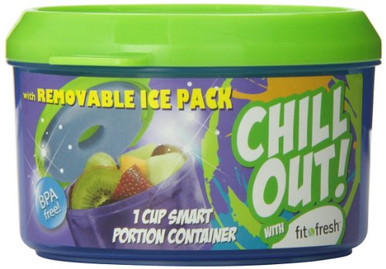 Fit Fresh Kids Smart Portion Chilled Container with Removable Ice Pack ...