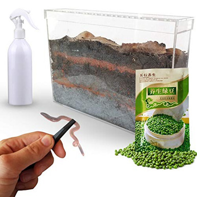 Science Lab Worm Farm Observatory and Terrarium for Children and Adults ...