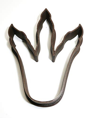 T REX DINOSAUR FOOTPRINT FOOT PRINT TYRANNOSAURUS REX SPECIAL OCCASION ...