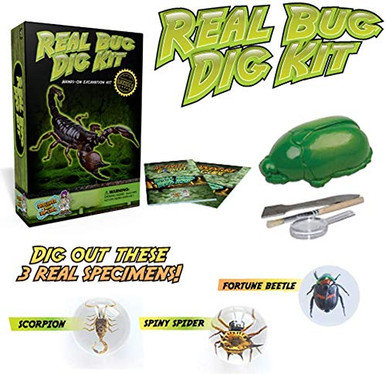 Discover with Dr Cool Real Bug Digging Kit Excavate 3 Genuine Specimens ...